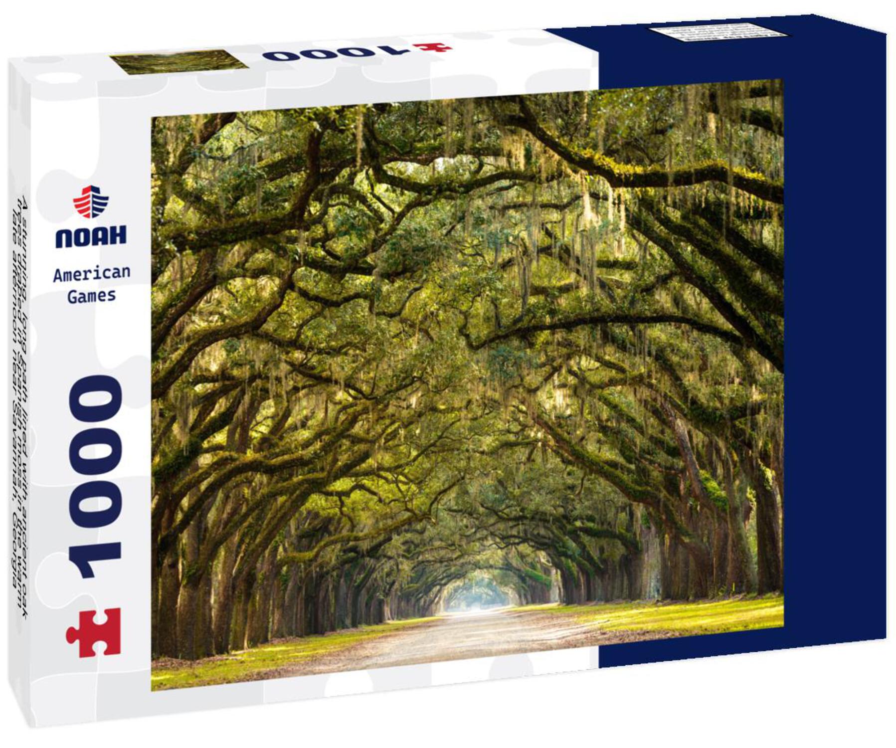 Noah Jigsaw Puzzle A stunning, long path lined with ancient oak trees ...