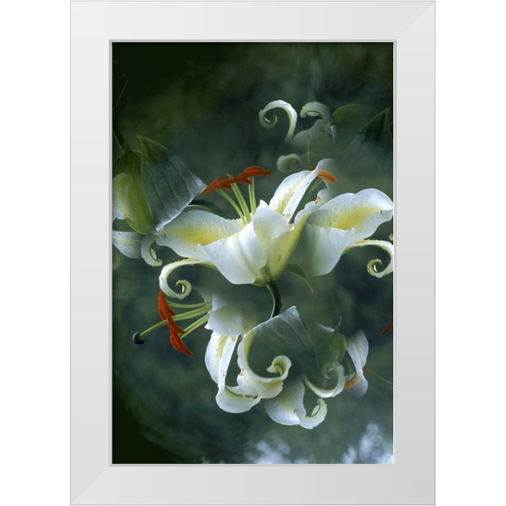 Noble Gardner, Nancy 11x14 White Modern Wood Framed Museum Art Print ...