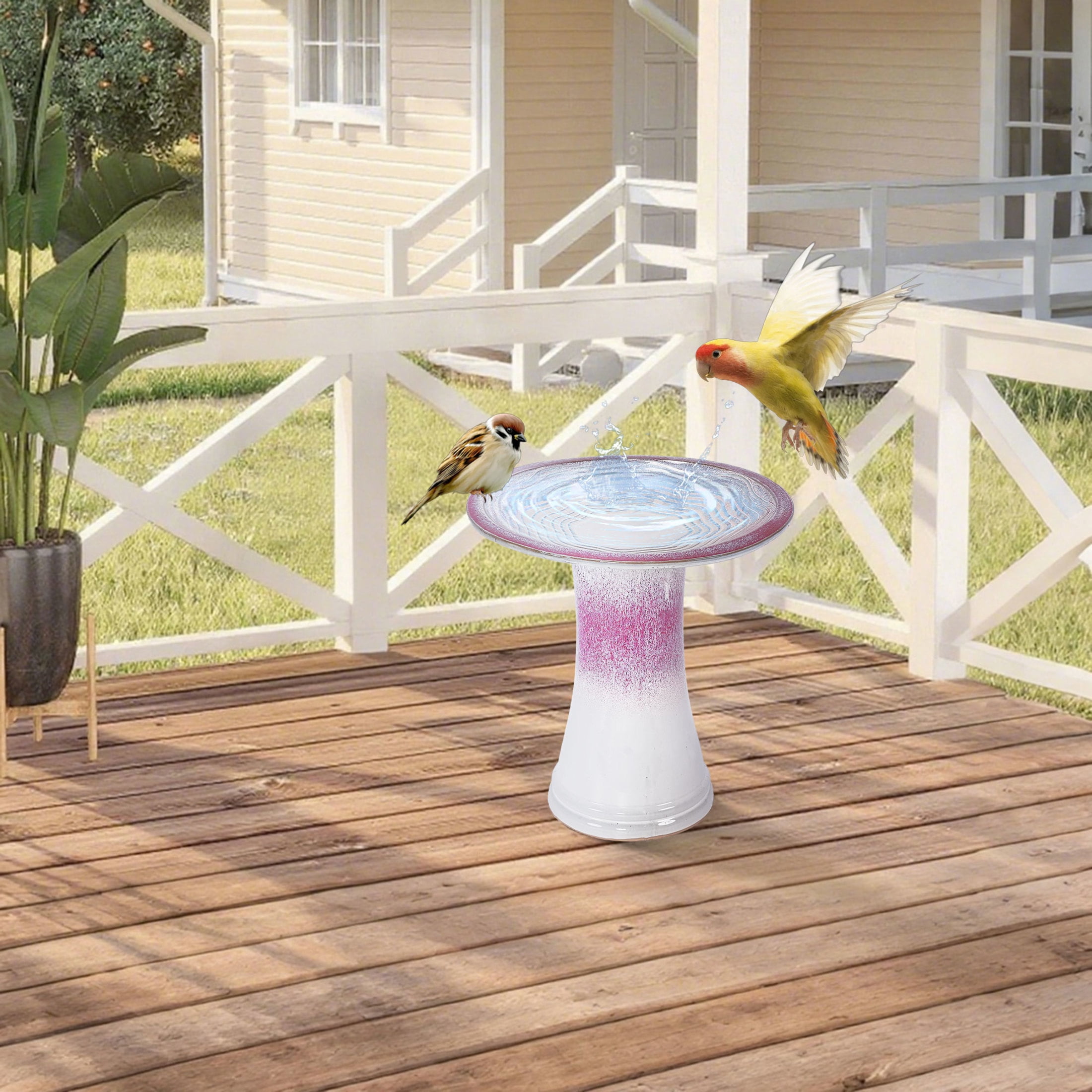 Noble House Barnaby Ceramic Birdbath, Ombre Glaze with Striped ...
