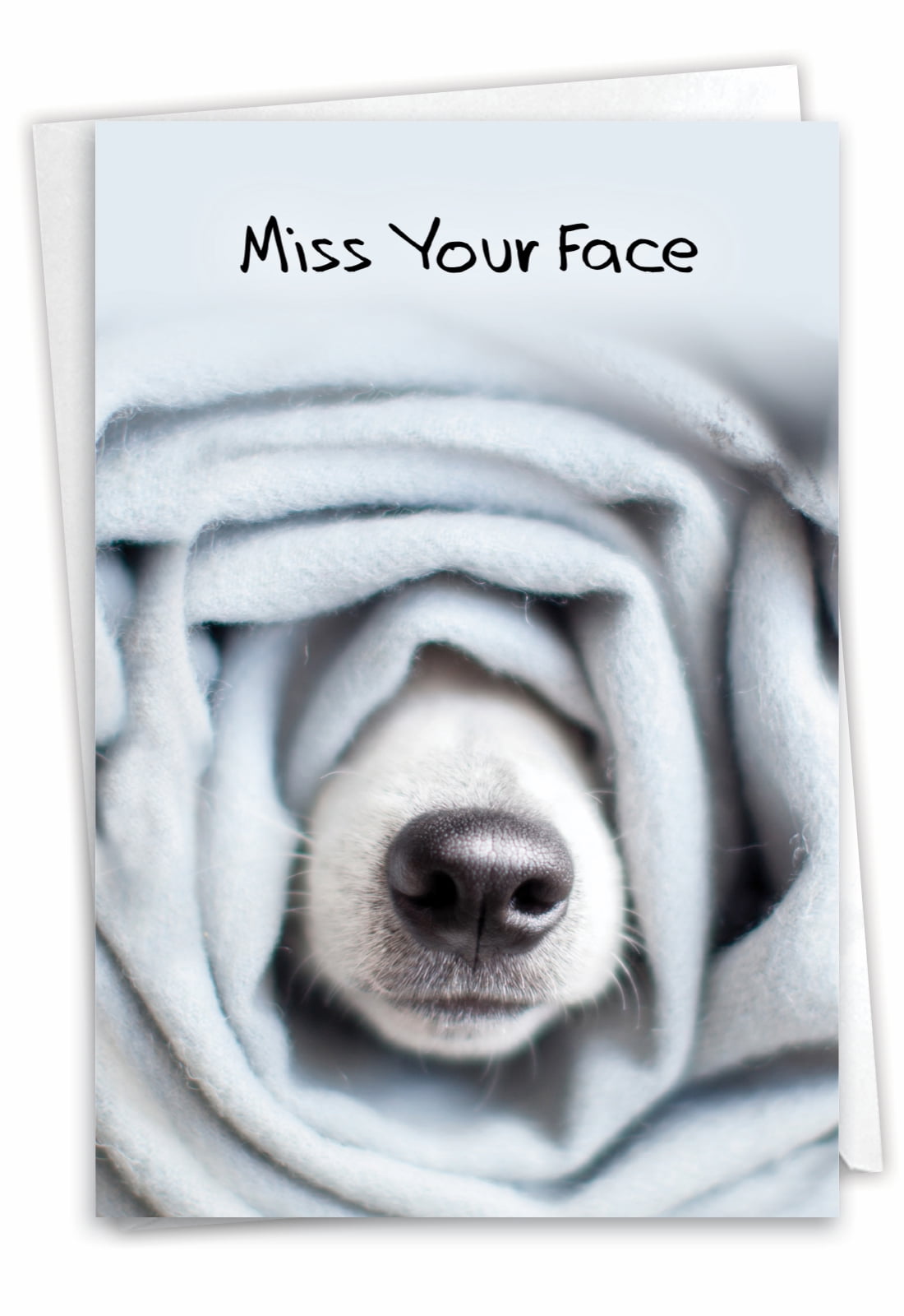 NobleWorks - 1 Miss You Greeting Card - Animal Pet Pooch Cover, Nose ...