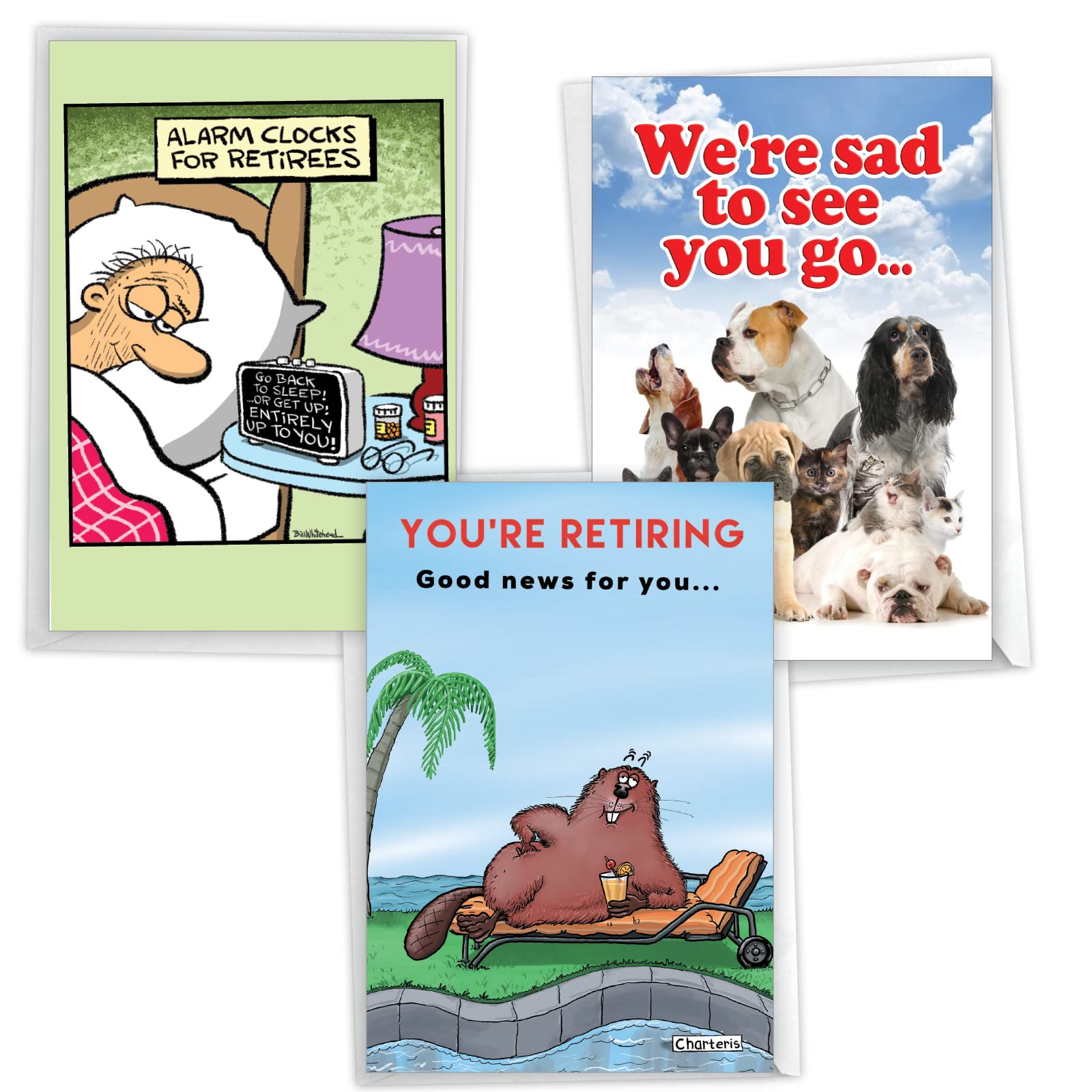 NobleWorks Assortment Pack of 3 Hysterical Retirement Greeting Cards ...