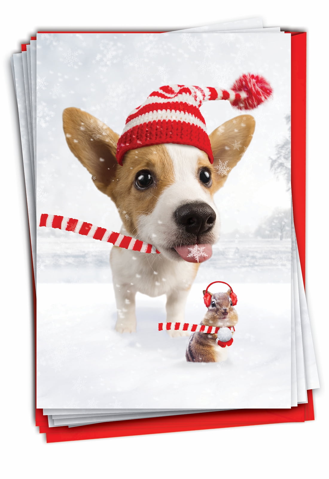 NobleWorks, Dog and Chipmunk Friends - 12 Funny Christmas Cards Boxed ...