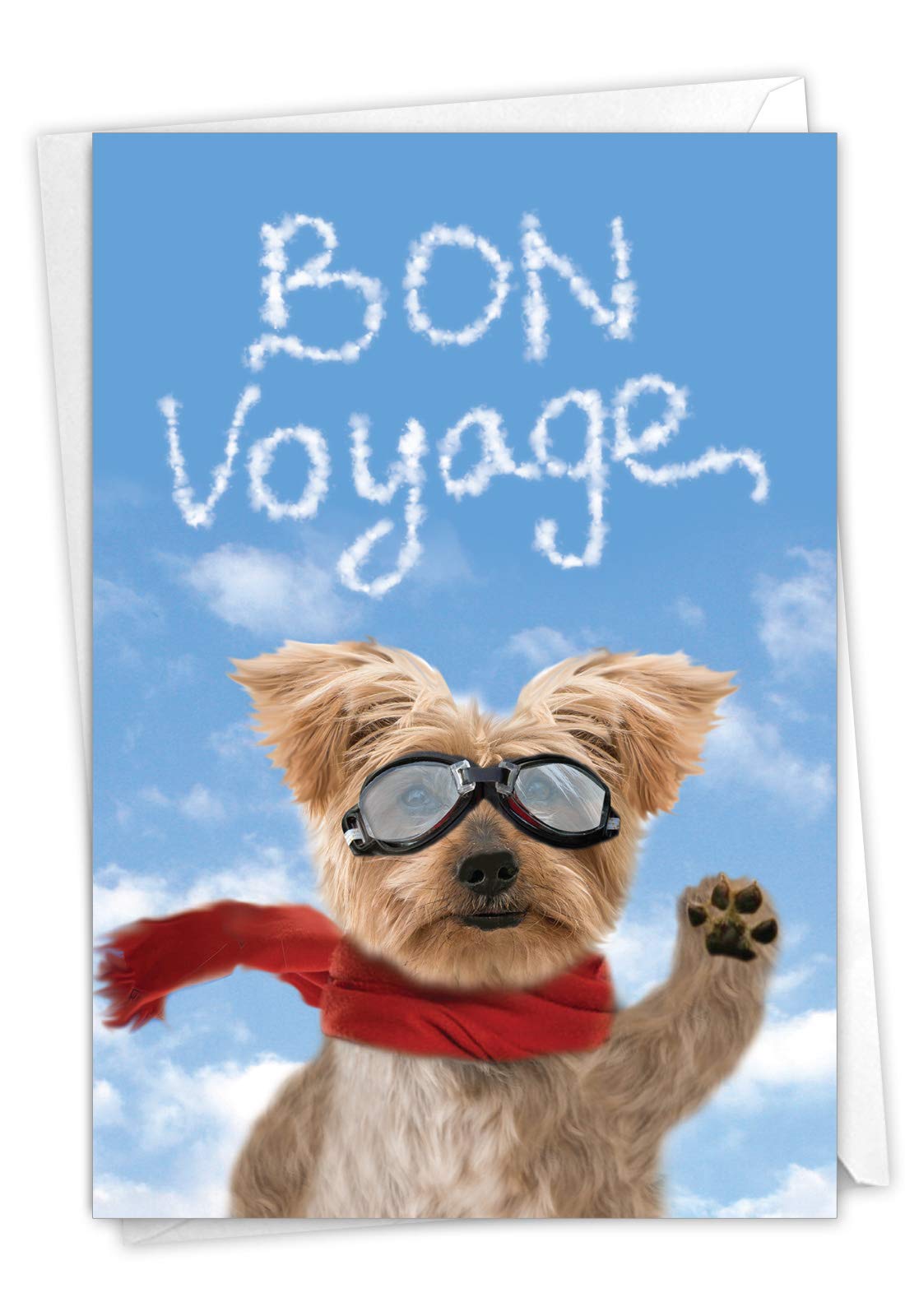 NobleWorks - Funny Bon Voyage Greeting Card with 5 x 7 Inch Envelope (1 ...