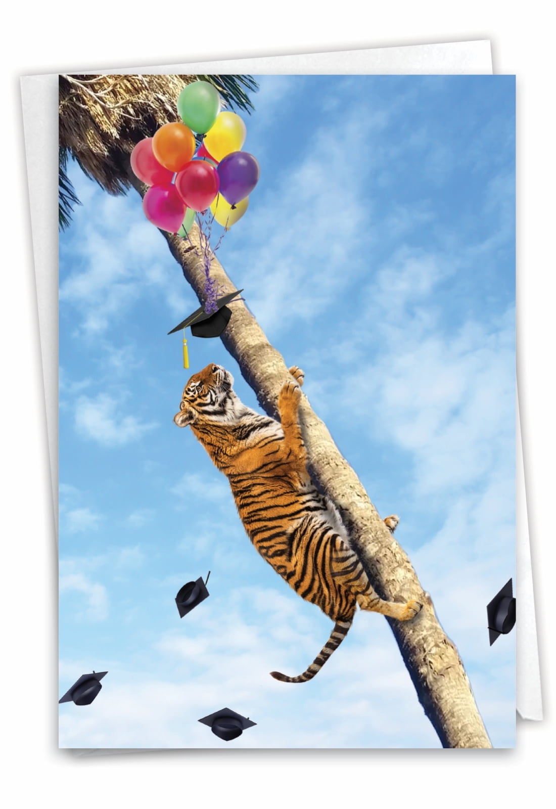 NobleWorks Graduation Greeting Card (Graduate) with 5 x 7 Inch Envelope ...
