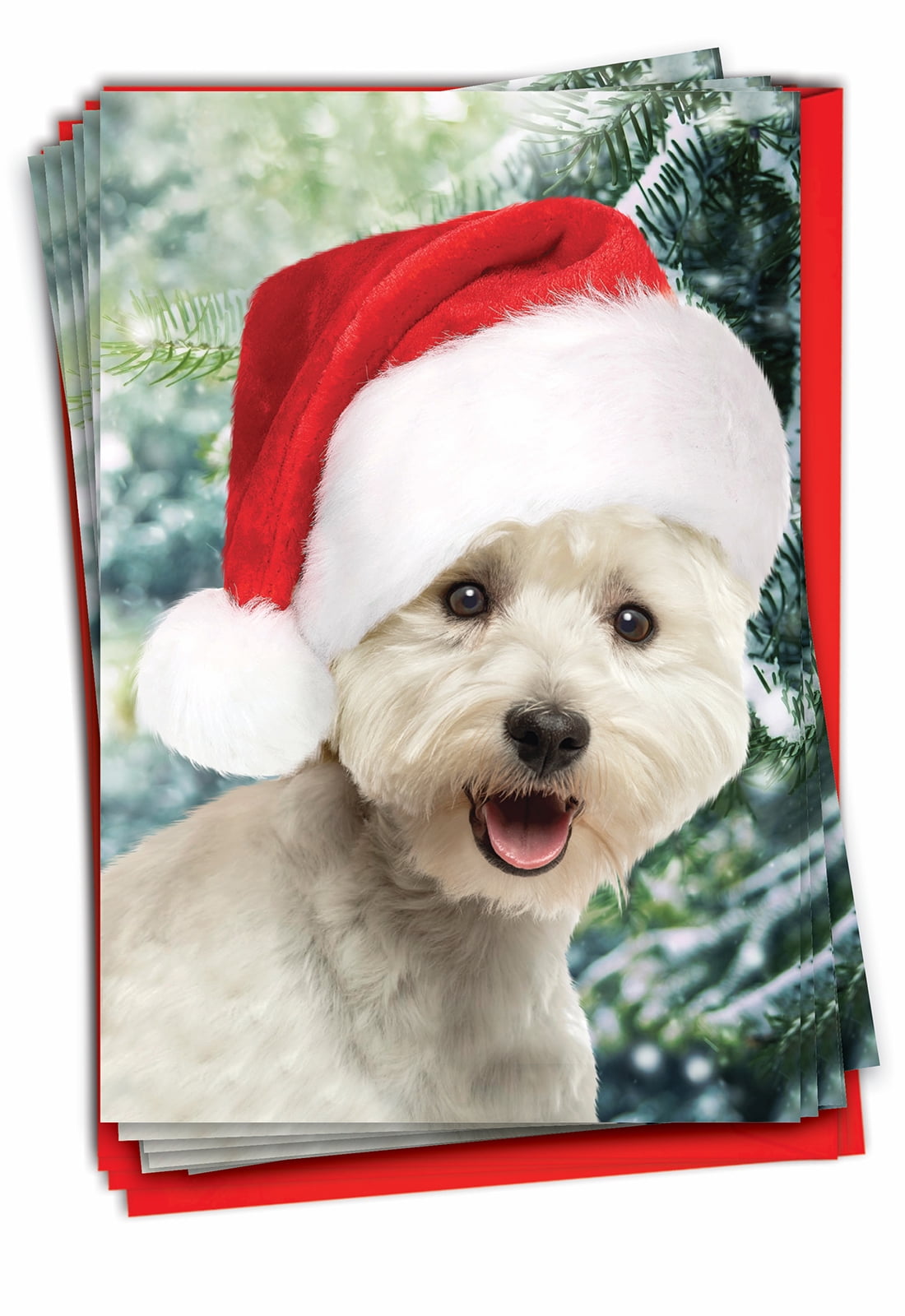 NobleWorks, Holiday Wonderful Westies - 12 Funny Christmas Cards Boxed ...
