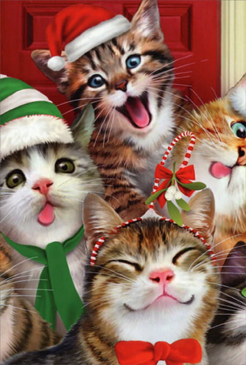 Nobleworks Cats Making Silly Faces Howard Robinson Humorous / Funny ...
