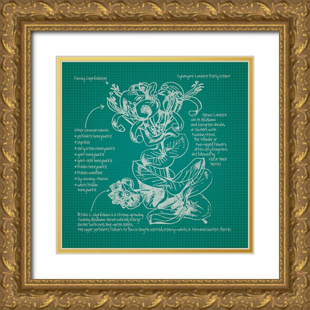 Nobleworks, Inc. 12x12 Gold Ornate Wood Framed with Double Matting ...