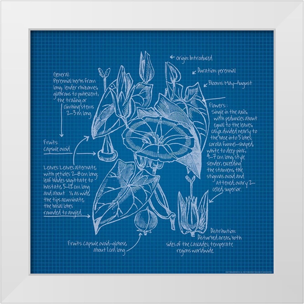 Nobleworks, Inc. 12x12 White Modern Wood Framed Museum Art Print Titled ...