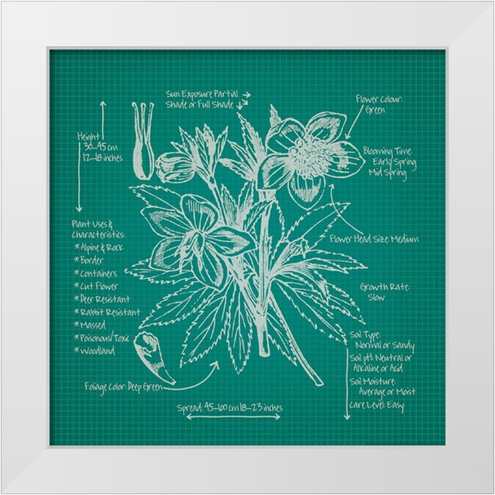 Nobleworks, Inc. 12x12 White Modern Wood Framed Museum Art Print Titled ...