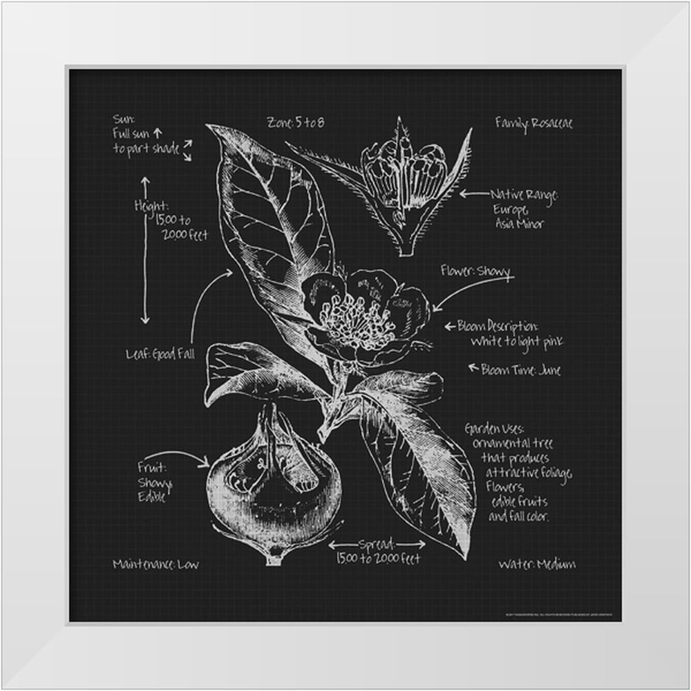 Nobleworks, Inc. 12x12 White Modern Wood Framed Museum Art Print Titled ...