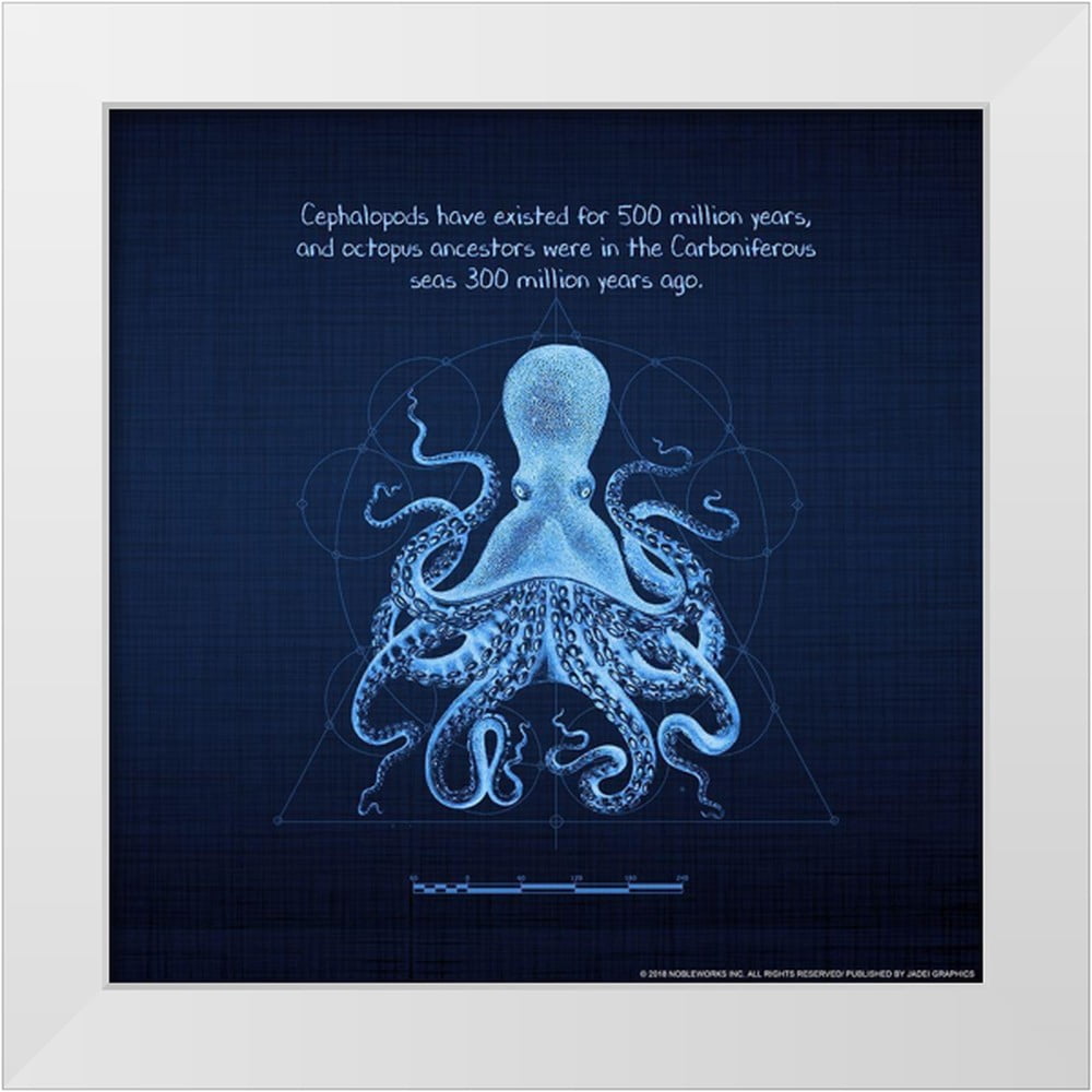 Nobleworks, Inc. 12x12 White Modern Wood Framed Museum Art Print Titled ...