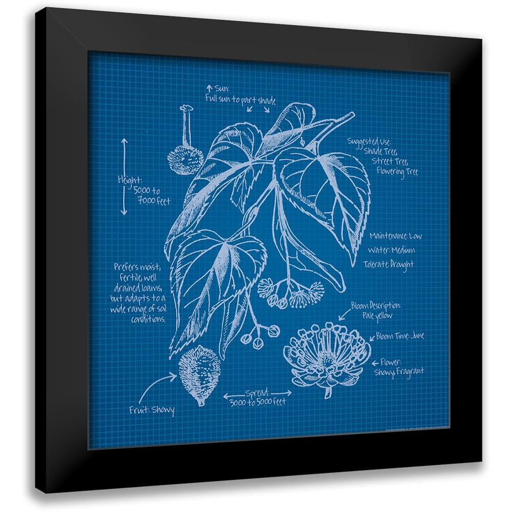 Nobleworks, Inc. 15x15 Black Modern Framed Museum Art Print Titled ...