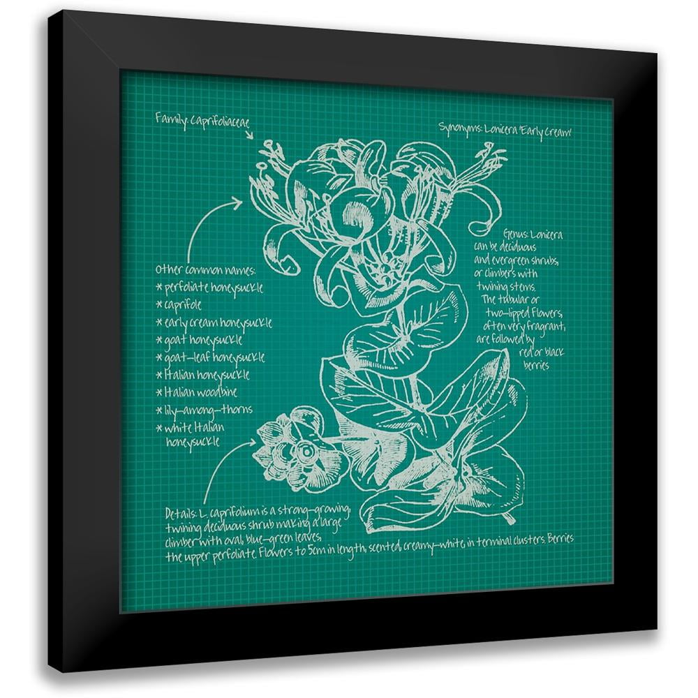 Nobleworks, Inc. 15x15 Black Modern Framed Museum Art Print Titled ...