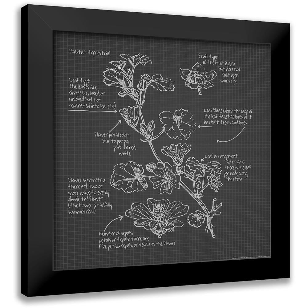 Nobleworks, Inc. 15x15 Black Modern Framed Museum Art Print Titled ...