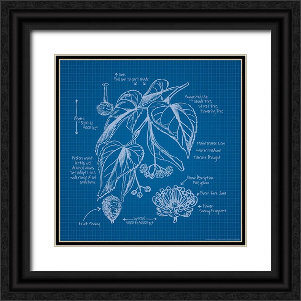 Nobleworks, Inc. 15x15 Black Ornate Wood Framed with Double Matting ...