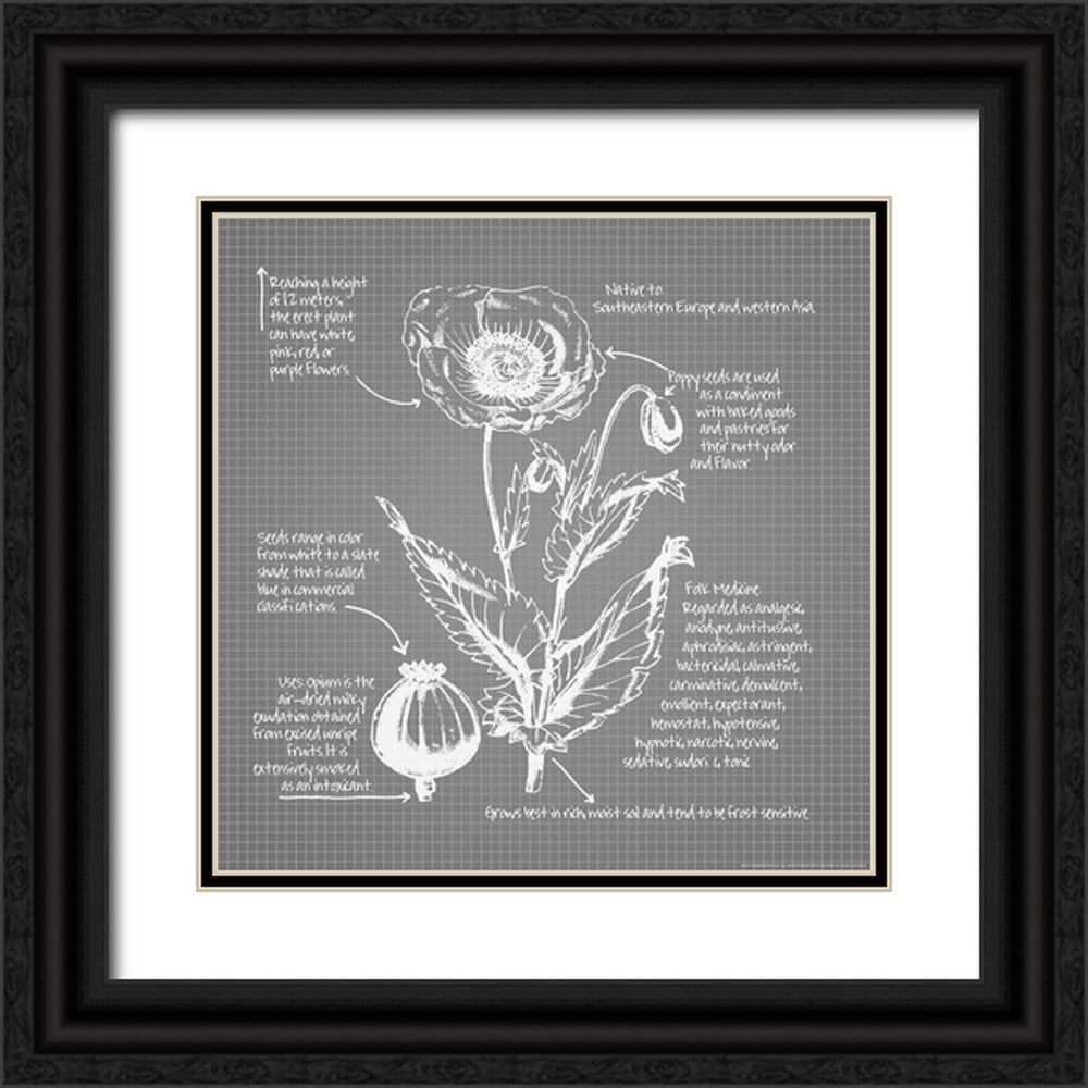 Nobleworks, Inc. 15x15 Black Ornate Wood Framed with Double Matting ...