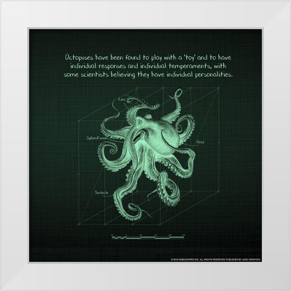Nobleworks, Inc. 15x15 White Modern Wood Framed Museum Art Print Titled ...