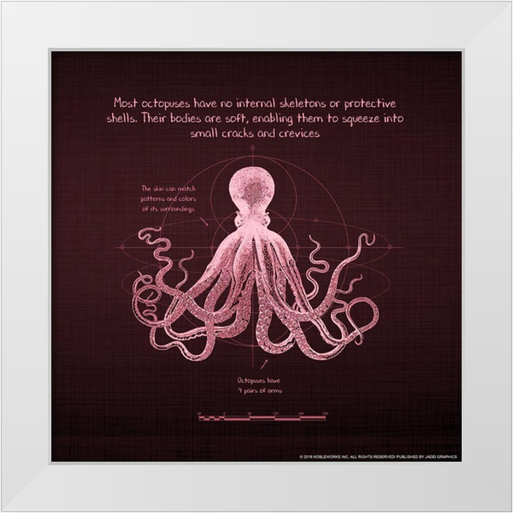 Nobleworks, Inc. 15x15 White Modern Wood Framed Museum Art Print Titled ...