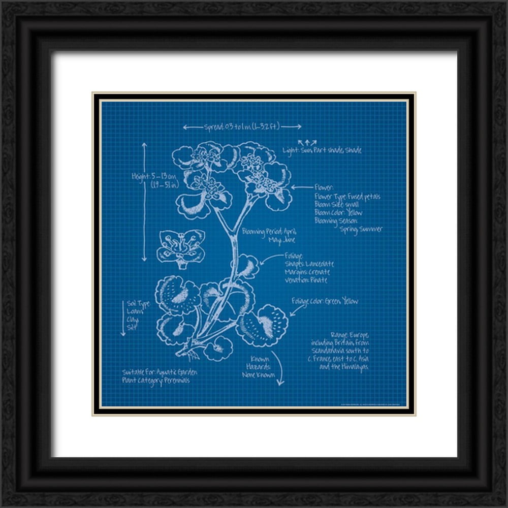 Nobleworks, Inc. 20x20 Black Ornate Wood Framed with Double Matting ...