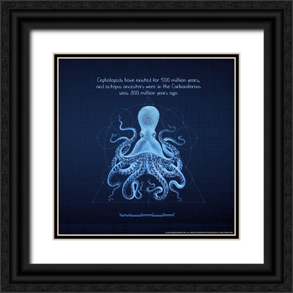 Nobleworks, Inc. 20x20 Black Ornate Wood Framed with Double Matting ...