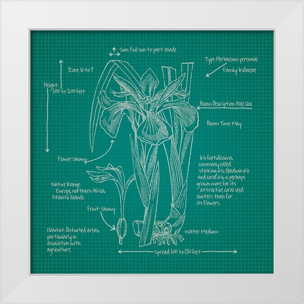 Nobleworks, Inc. 26x26 White Modern Wood Framed Museum Art Print Titled ...