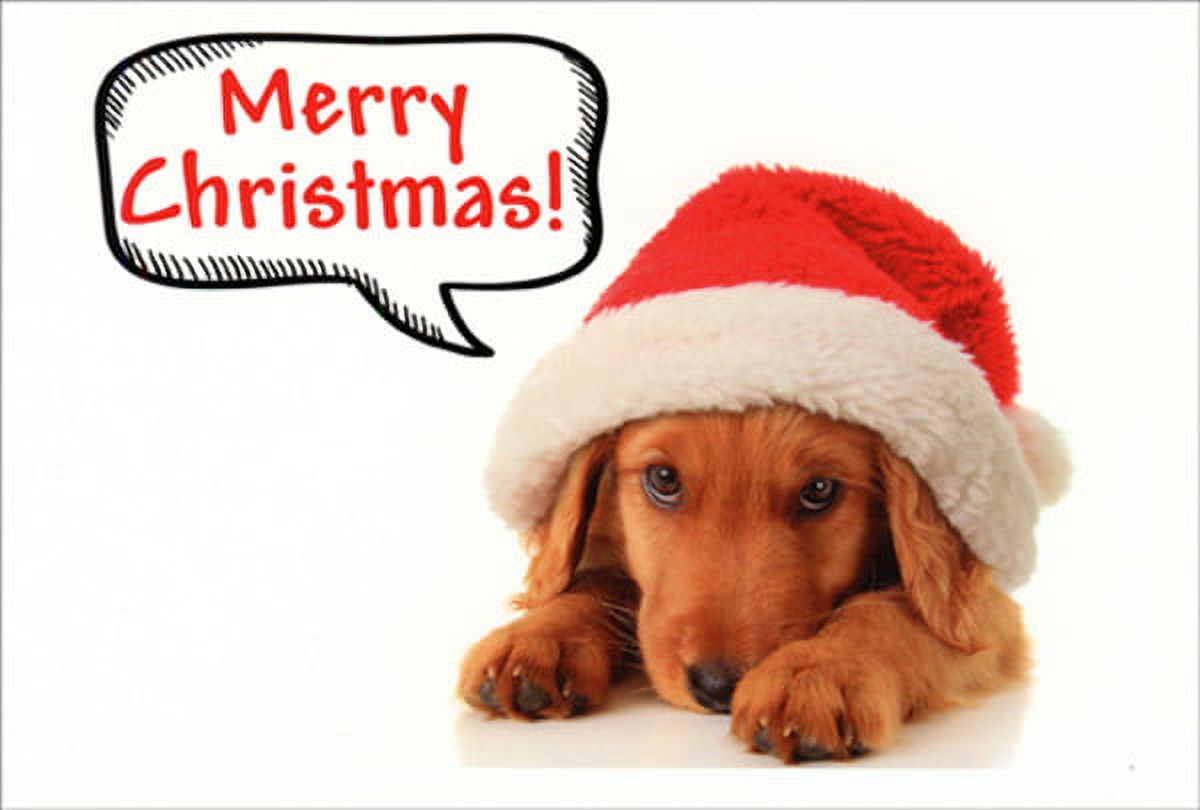 Nobleworks Santa Pups Dachshund Blank Cute Dog Christmas Card (1 card/1 ...