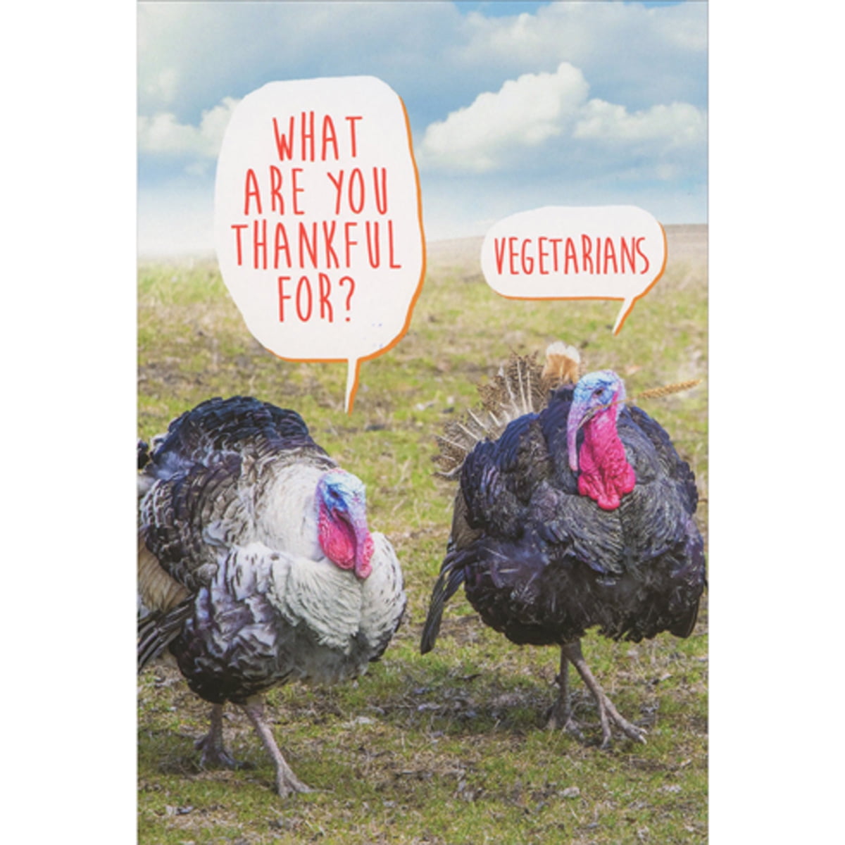Nobleworks Two Turkeys: What Are You Thankful For - Vegetarians ...