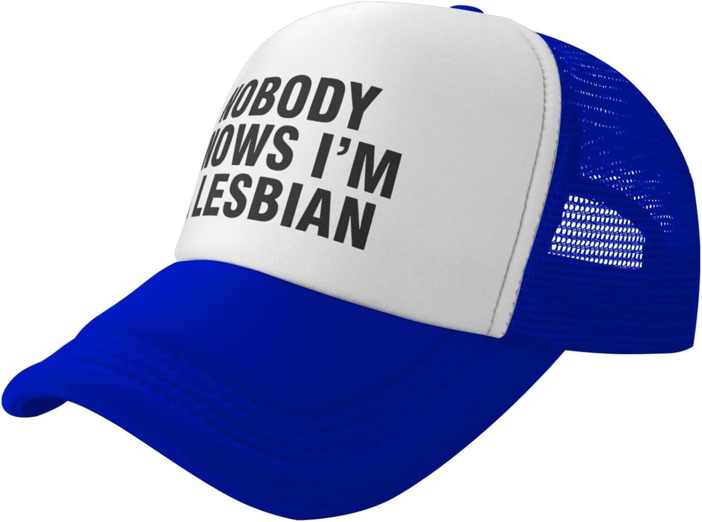 Nobody Knows I'm A Lesbian Hat Gay Pride LGBT Hat Trucker Hat Mesh ...