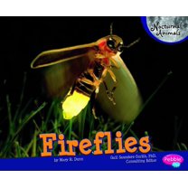 Ten Flashing Fireflies (Paperback) - Walmart.com