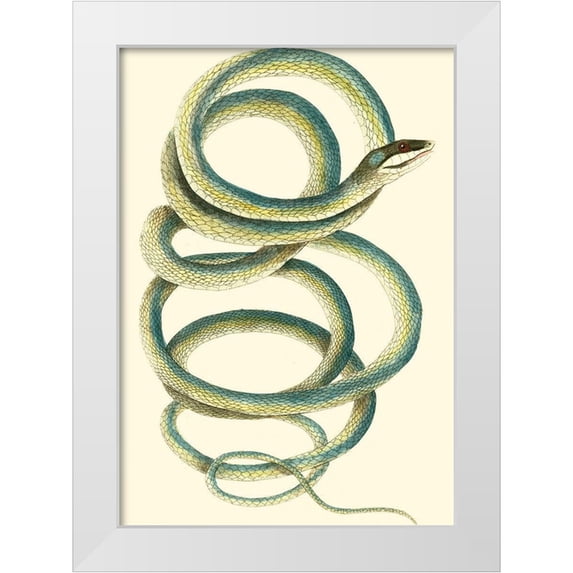 Nodder, Frederick P. 11x14 White Modern Wood Framed Museum Art Print ...