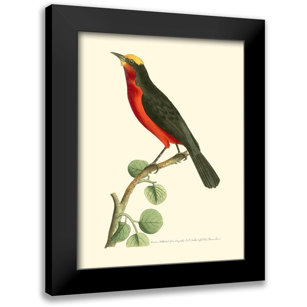 Nodder, Frederick P. 12x14 Black Modern Framed Museum Art Print Titled ...