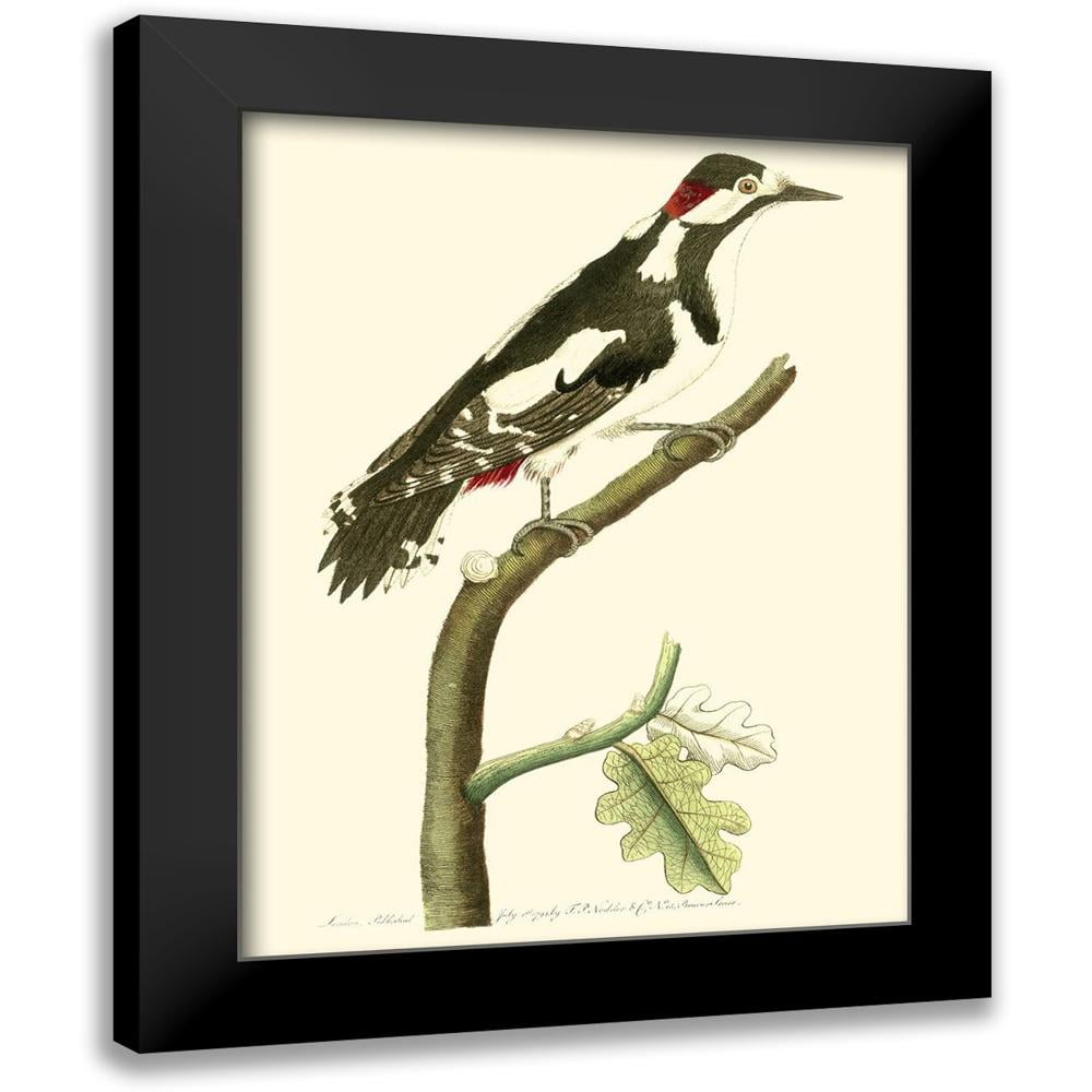 Nodder, Frederick P. 12x14 Black Modern Framed Museum Art Print Titled ...
