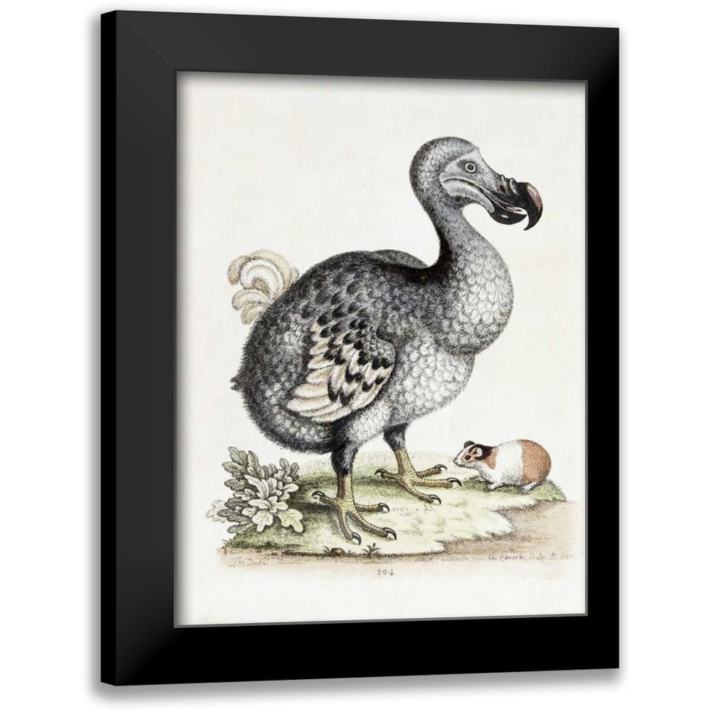 Nodder, Frederick P. 12x14 Black Modern Framed Museum Art Print Titled ...