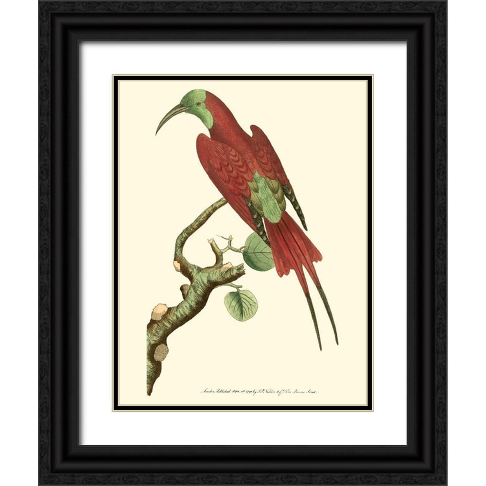 Nodder, Frederick P. 12x14 Black Ornate Wood Framed with Double Matting ...