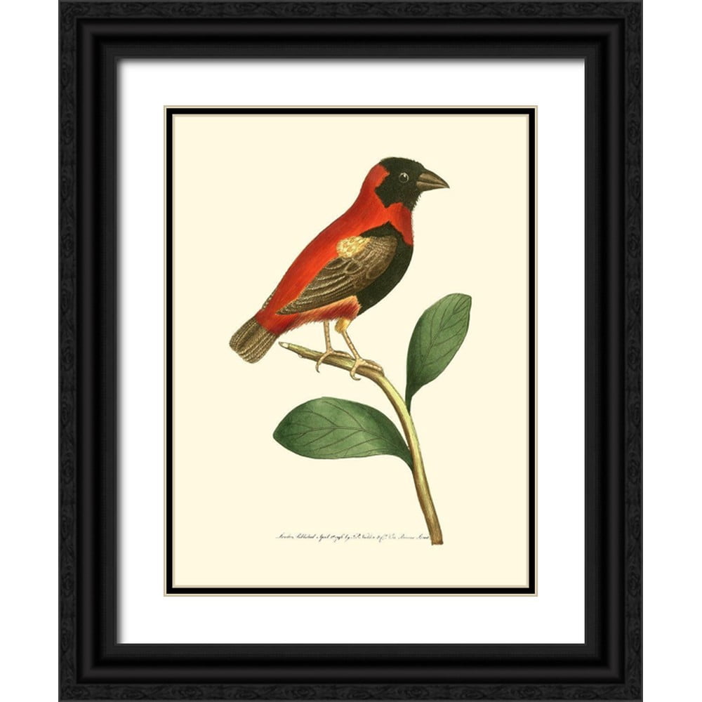 Nodder, Frederick P. 12x14 Black Ornate Wood Framed with Double Matting ...