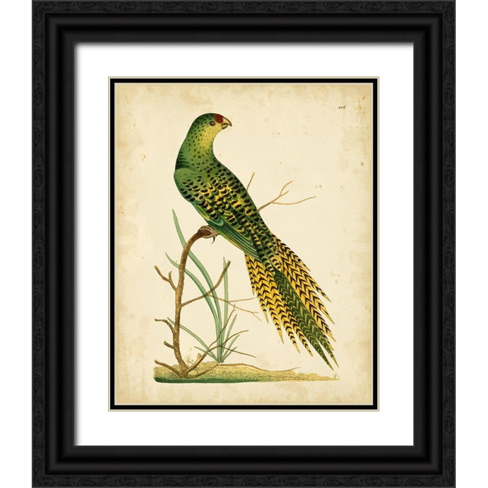 Nodder, Frederick P. 12x14 Black Ornate Wood Framed with Double Matting ...