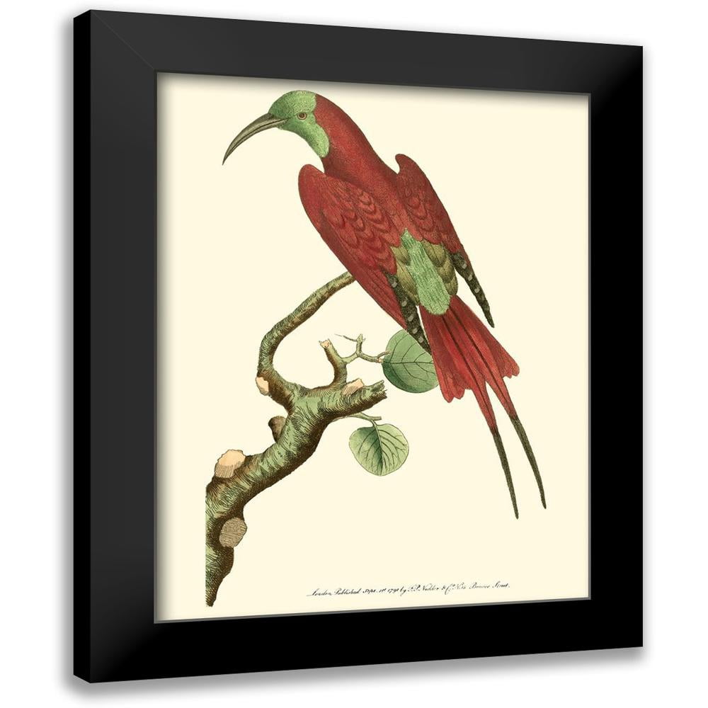 Nodder, Frederick P. 19x24 Black Modern Framed Museum Art Print Titled ...