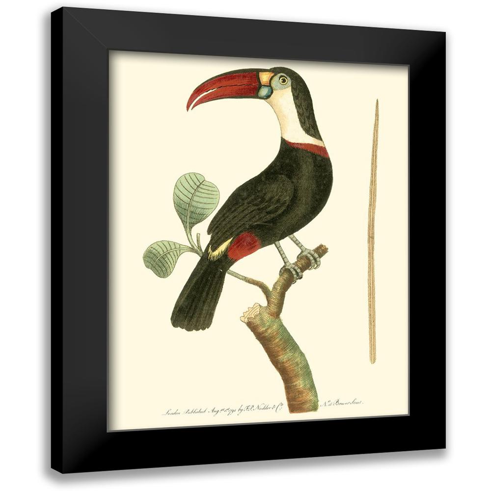Nodder, Frederick P. 19x24 Black Modern Framed Museum Art Print Titled ...