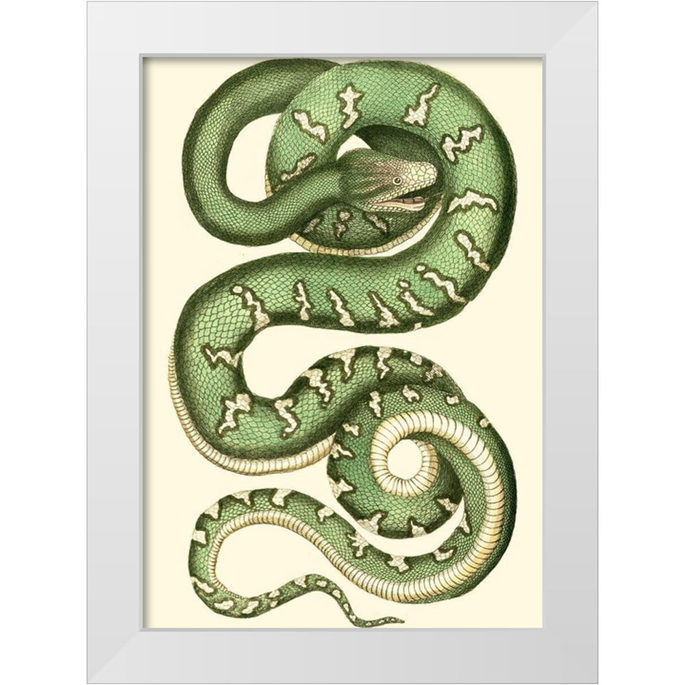 Nodder, Frederick P. 24x32 White Modern Wood Framed Museum Art Print ...