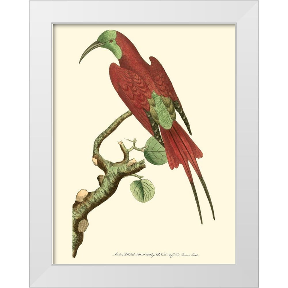 Nodder, Frederick P. 25x32 White Modern Wood Framed Museum Art Print ...