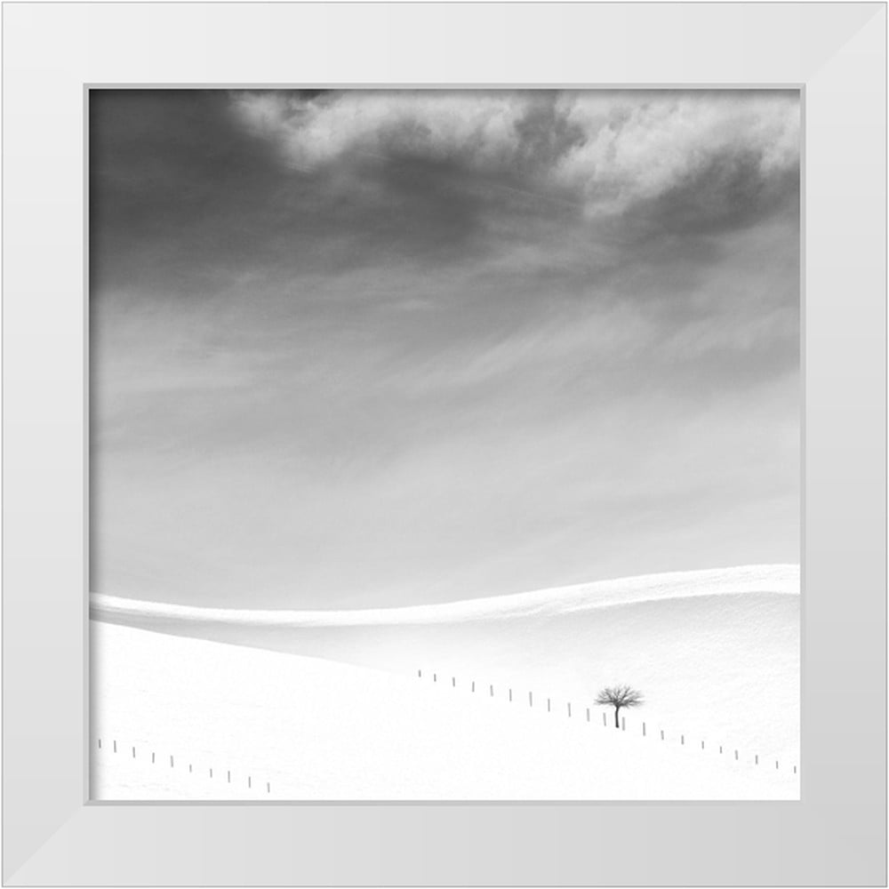 Nodeh, Mostafa 15x15 White Modern Wood Framed Museum Art Print Titled - Single tree - Walmart.com