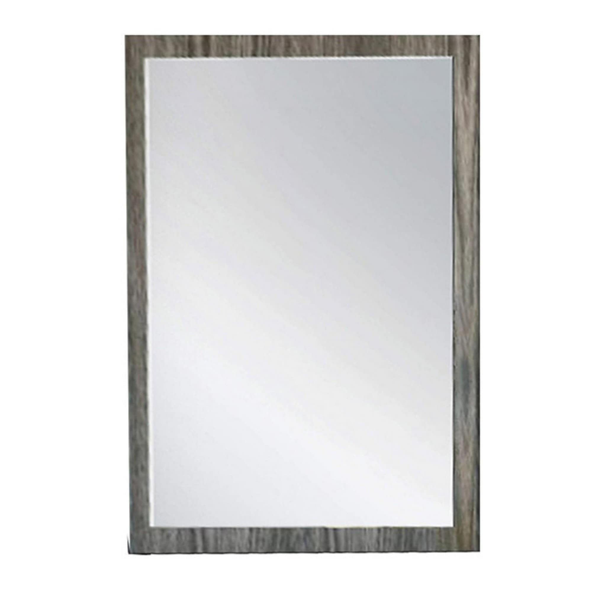 Noe 39 Inch Modern Wood Frame Rectangular Portrait Mirror, Grey ...