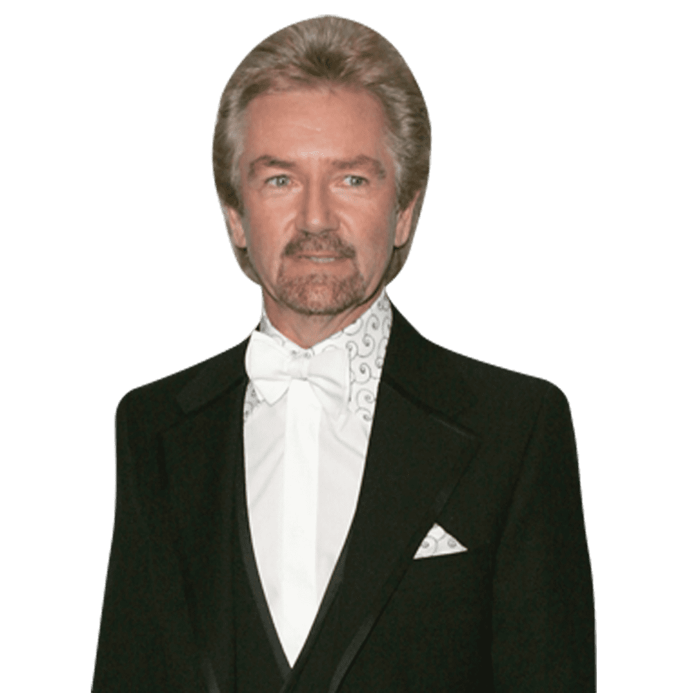 Noel Edmonds (Suit) Half Body Buddy Cutout - Walmart.com