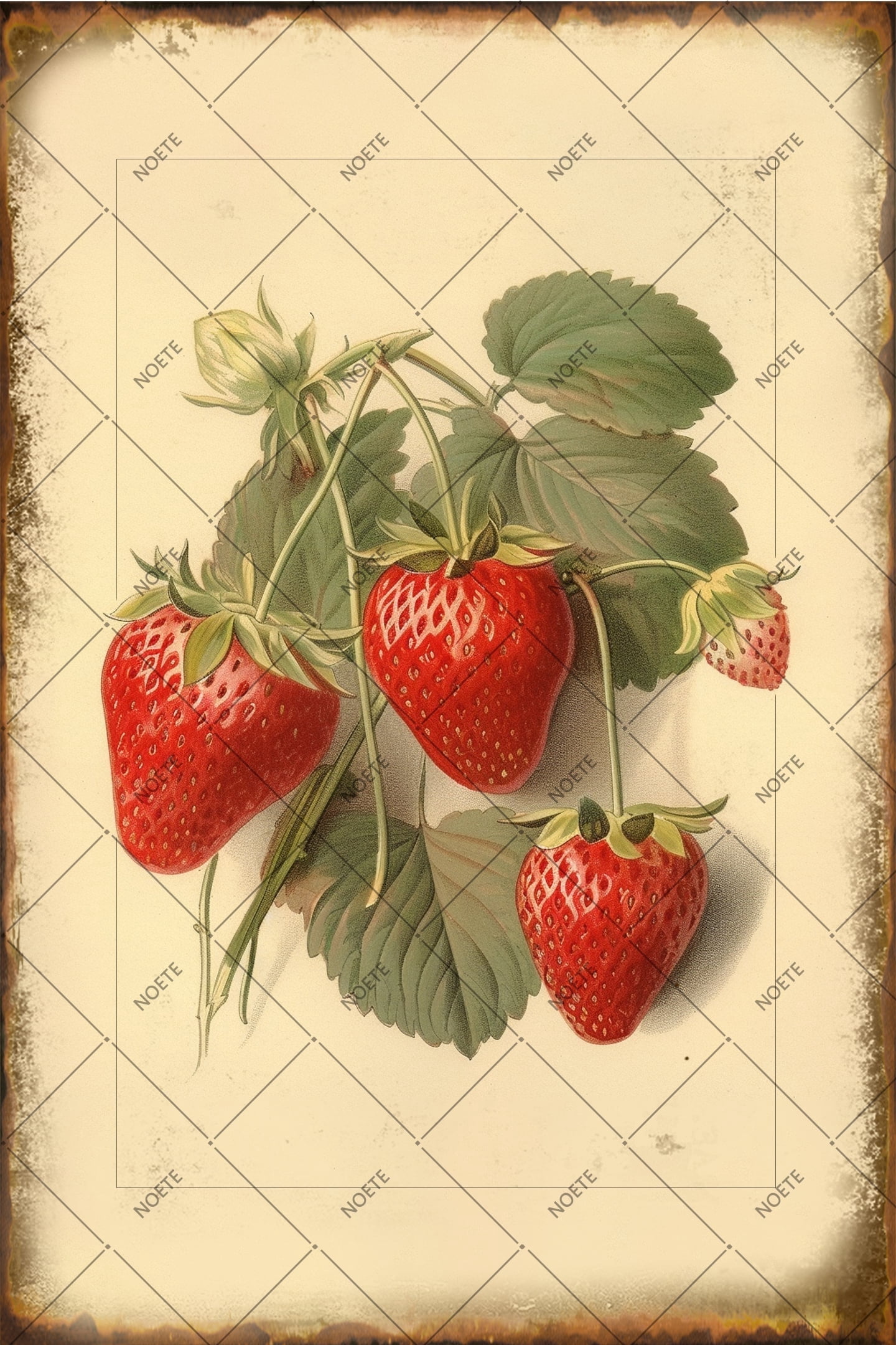 Noete Strawberry Metal Tin Signs 8x12 Inch, Vintage Botanical Wall Art ...