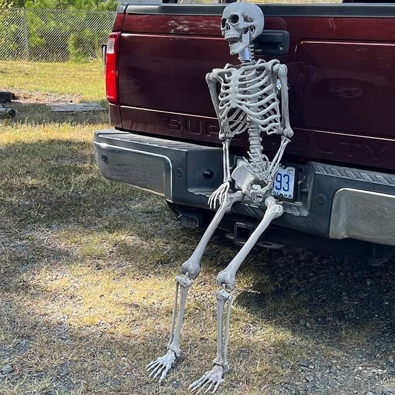 Noeteard Halloween Skeleton Decorations - 5.5FT Life Size Skeleton ...