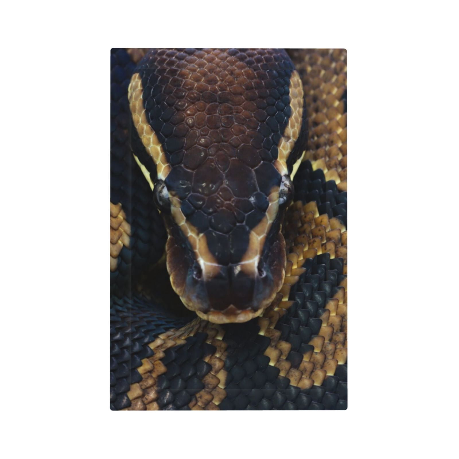 Noikeo Ball Phyton Snake Pattern Electrical Outlet Covers-Electric ...