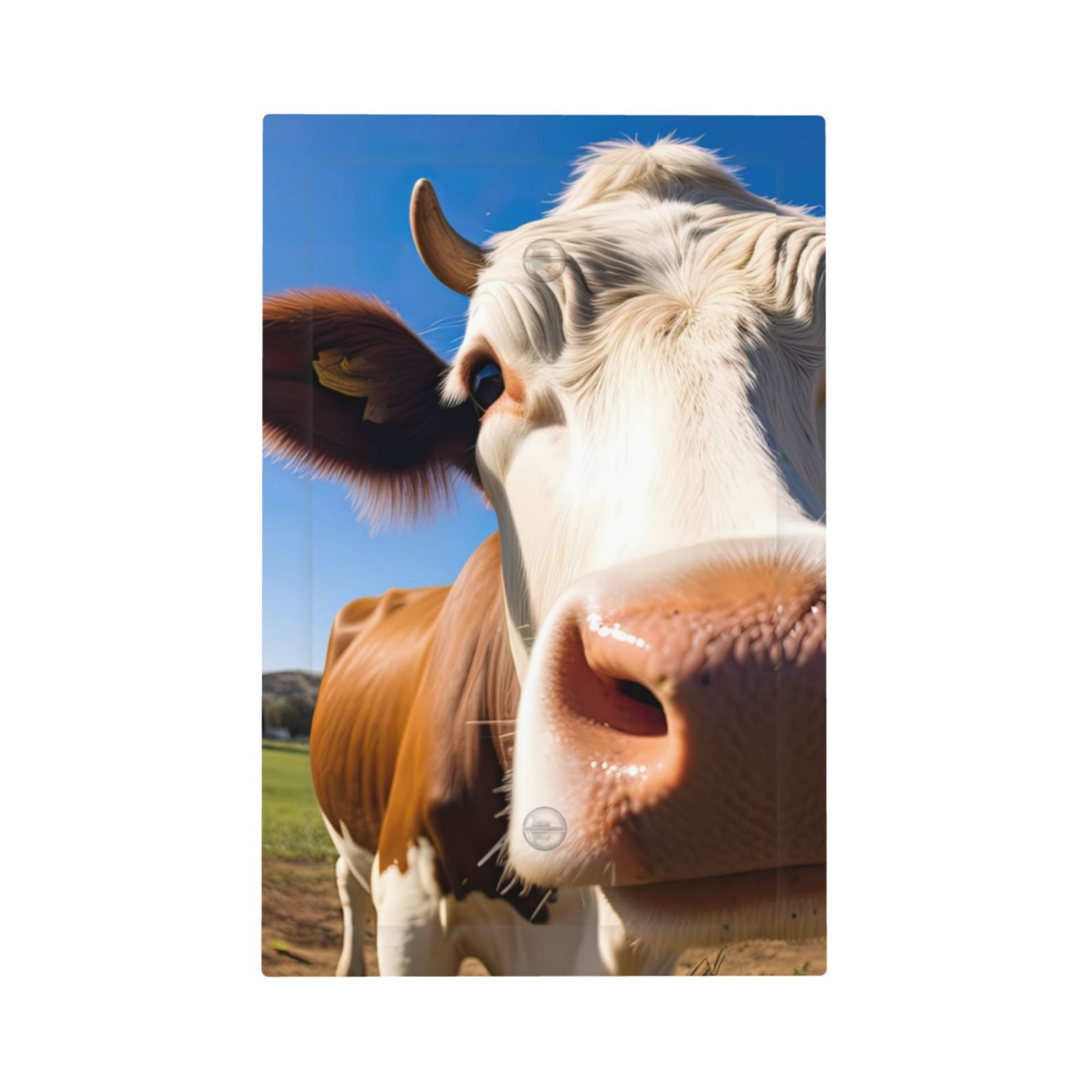 Noikeo Blue Sky Meadow Cute Cow Pattern Electrical Outlet Covers ...