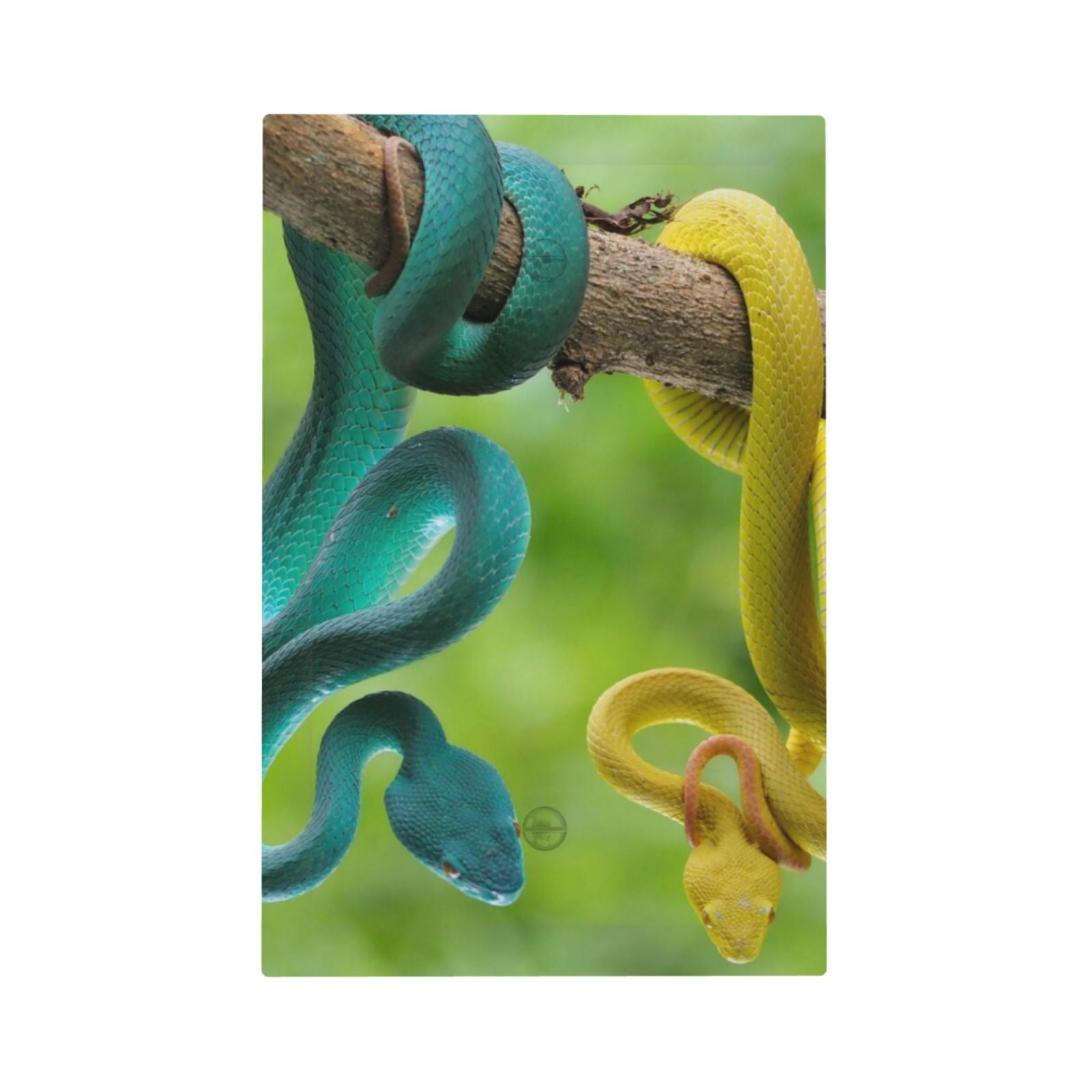 Noikeo Blue Viper And Yellow Viper Snake Pattern Electrical Outlet ...