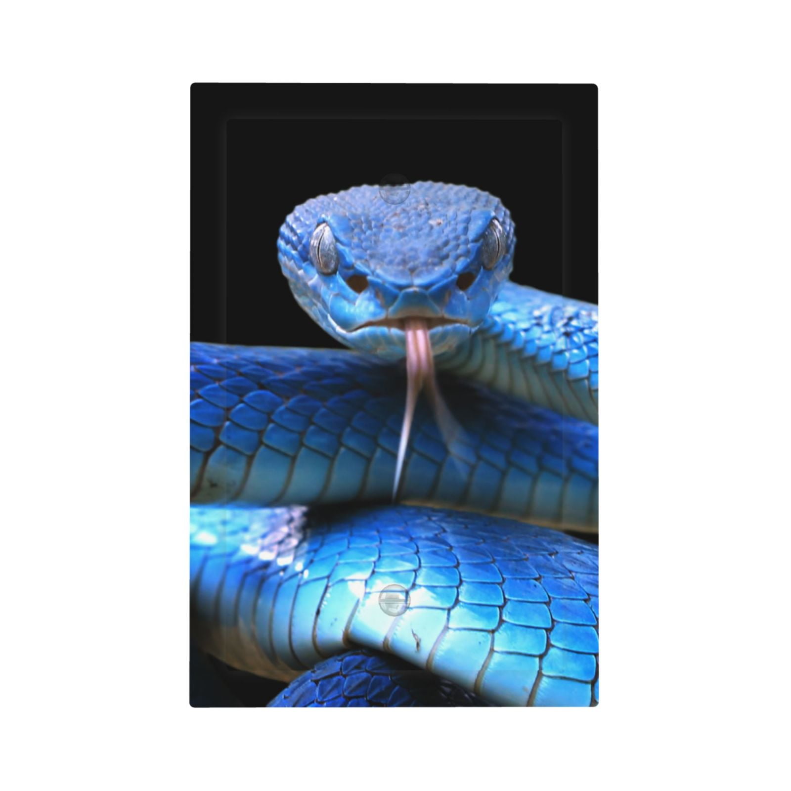 Noikeo Blue Viper Snake 2 Pattern Electrical Outlet Covers-Electric ...