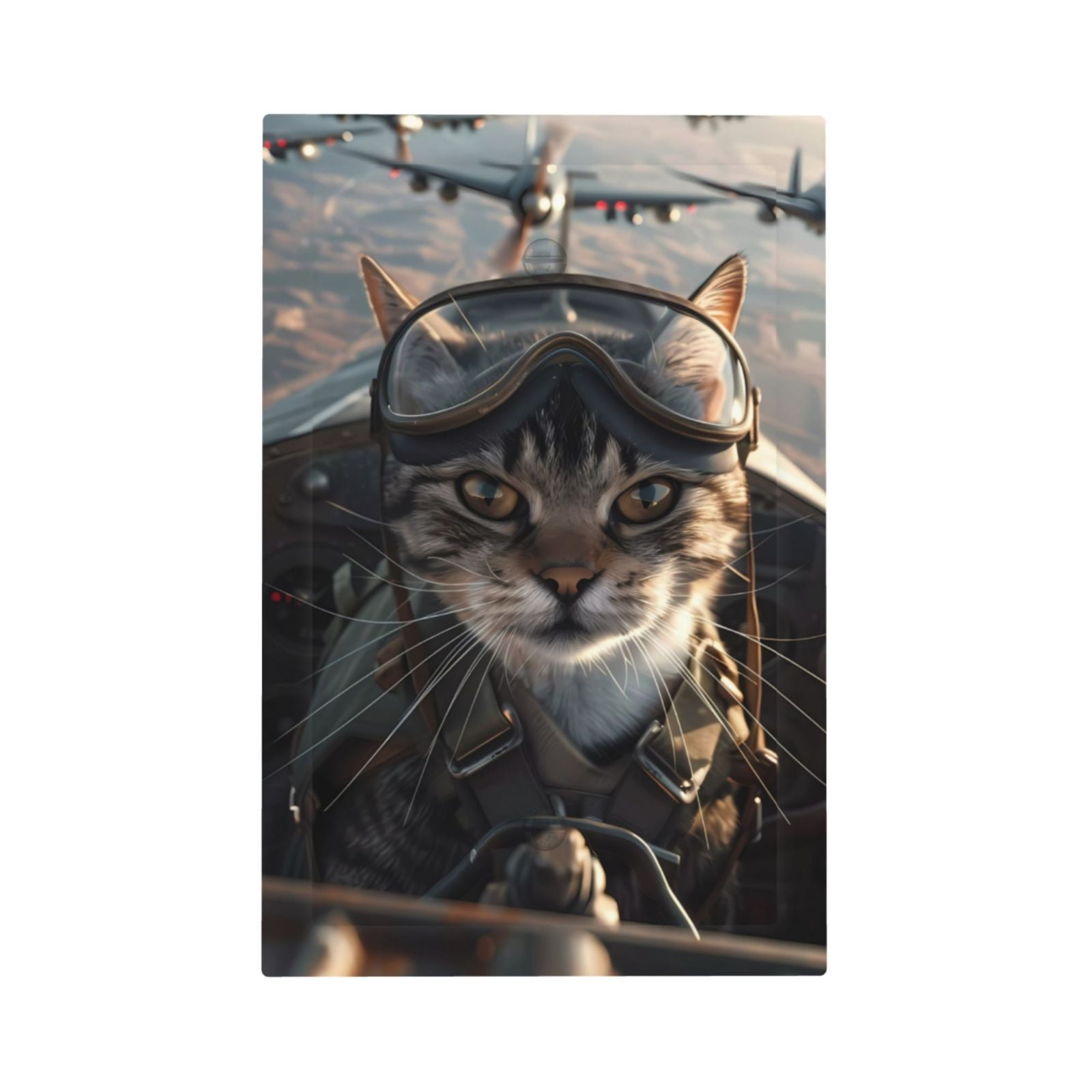 Noikeo Pilot Cat In Vintage Plane Pattern Electrical Outlet Covers ...